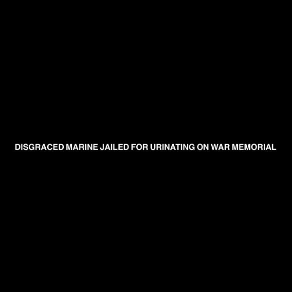 Buy Quiet Husband : Disgraced Marine Jailed For Urinating On War ...
